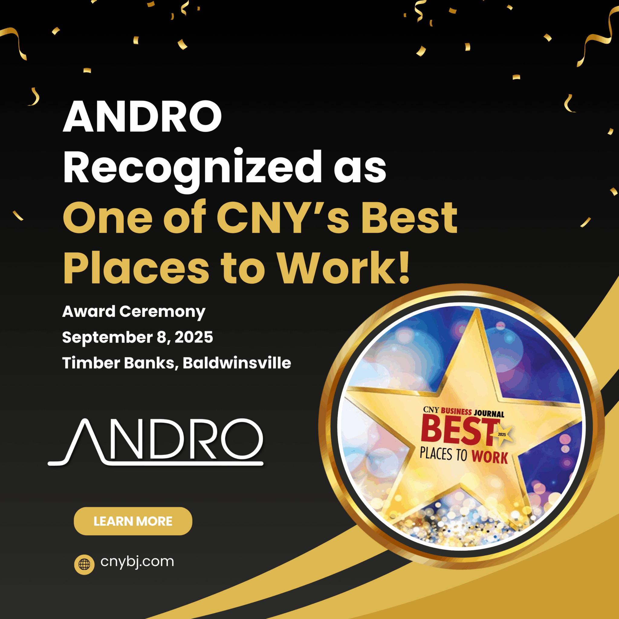 ANDRO Computational Solutions